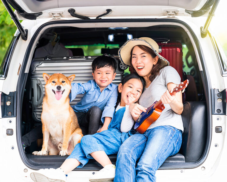 New Auto Loans - NIHFCU